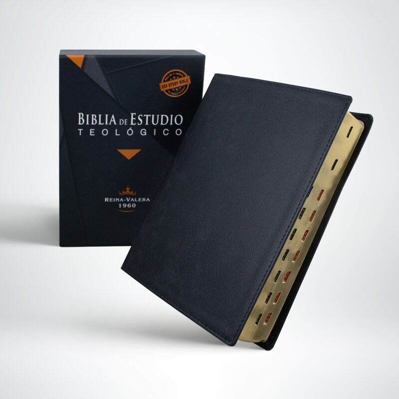 Estudios biblicos cristianos -Biblia de Estudio Teológico